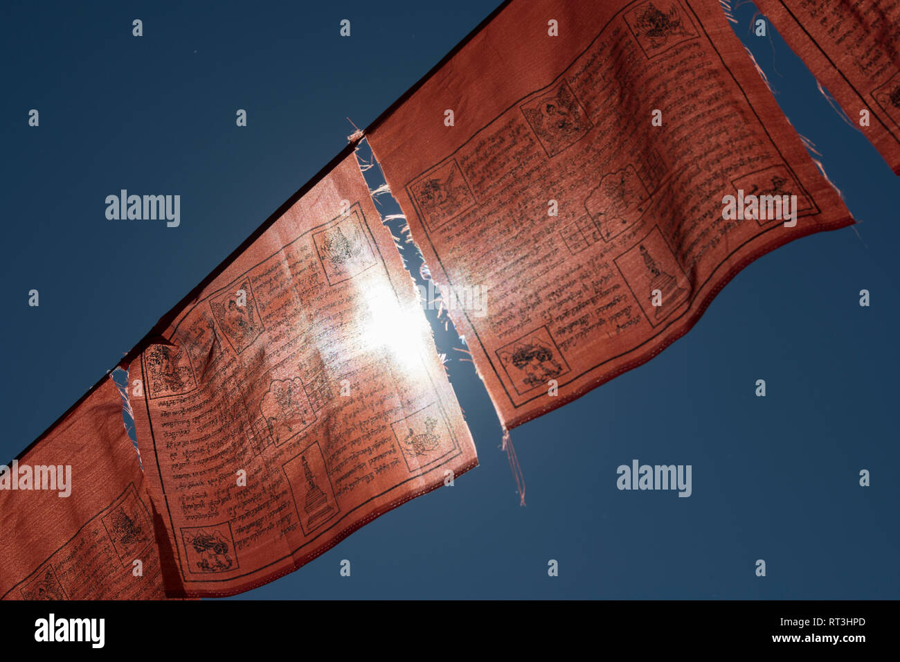 Low angle view of prayer flags, Sikkim, India Stock Photo - Alamy