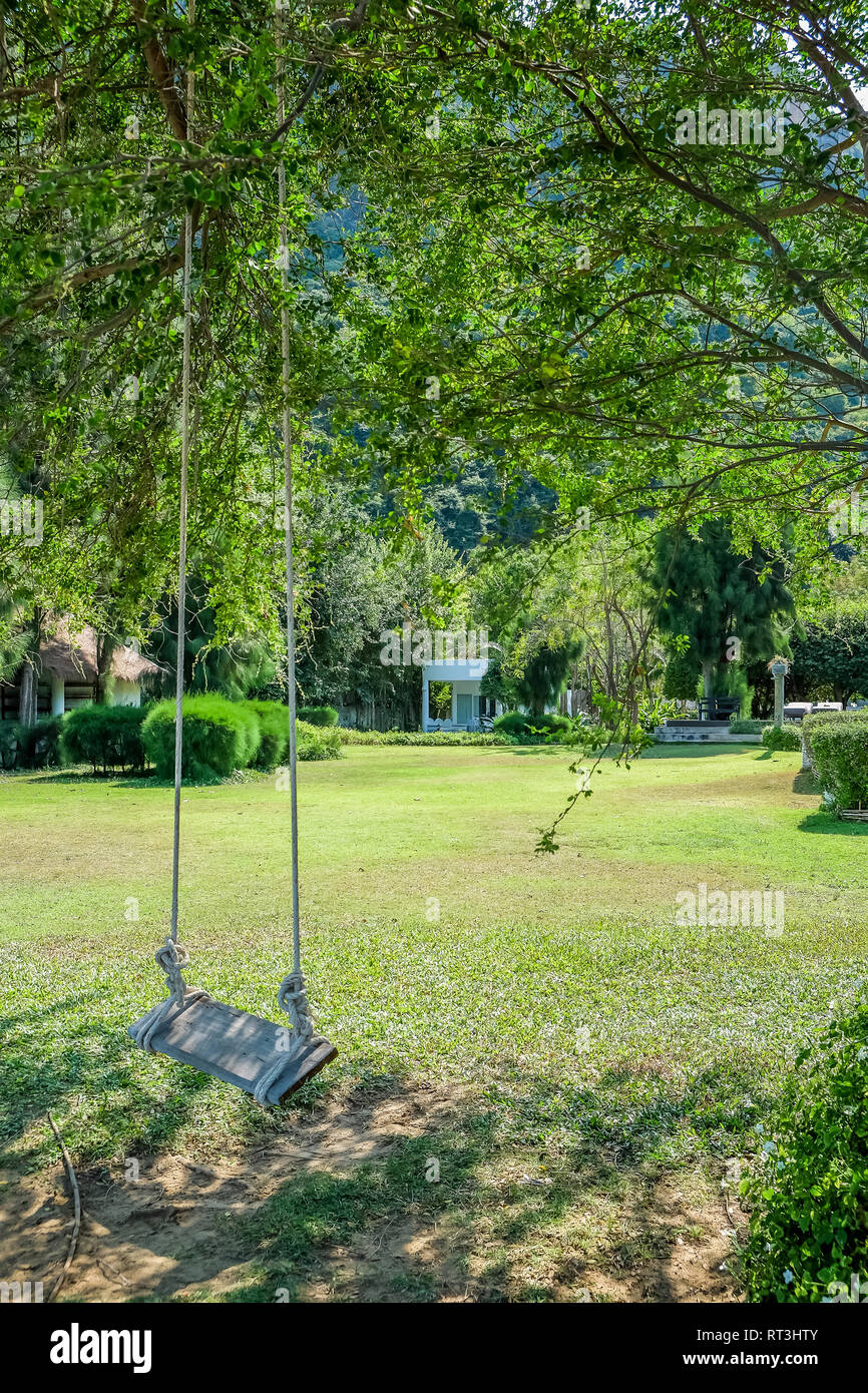 Image of wooden swing under the tree in the garden Stock Photo - Alamy