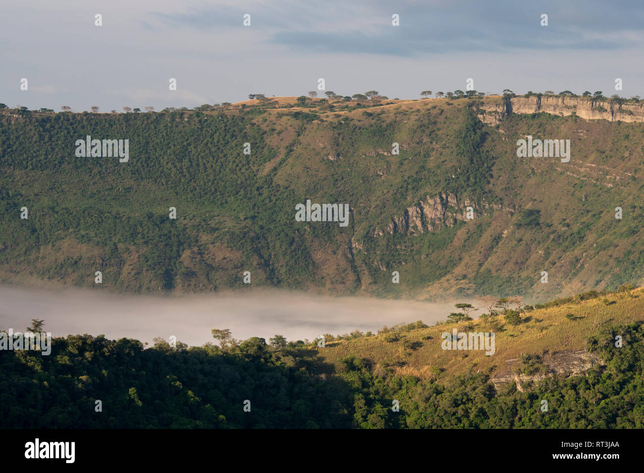 Mist hanging in an explosion crater on the crater drive, Queen ...