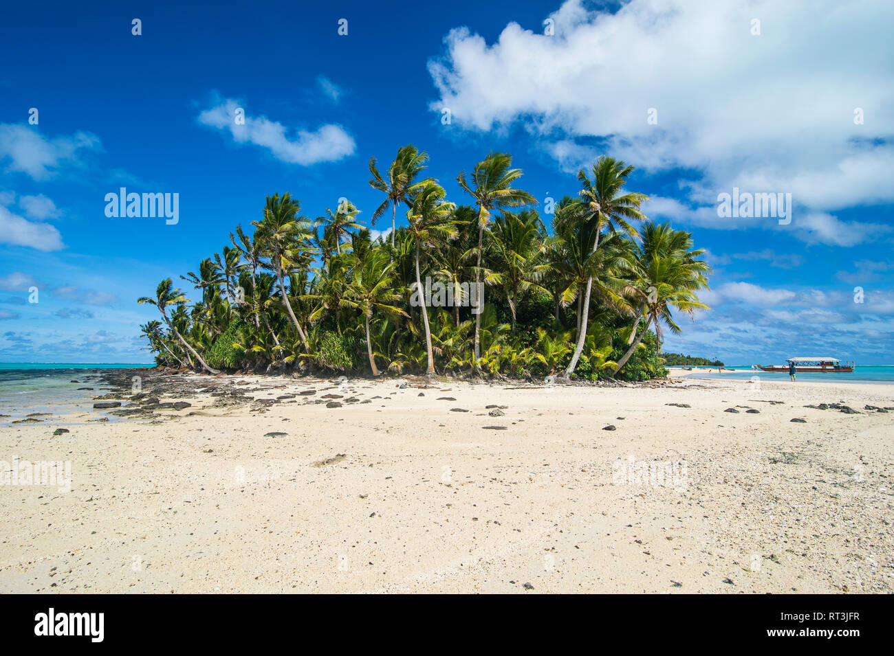 Cook Islands, Rarotonga, Aitutaki lagoon, white sand beach and palm ...
