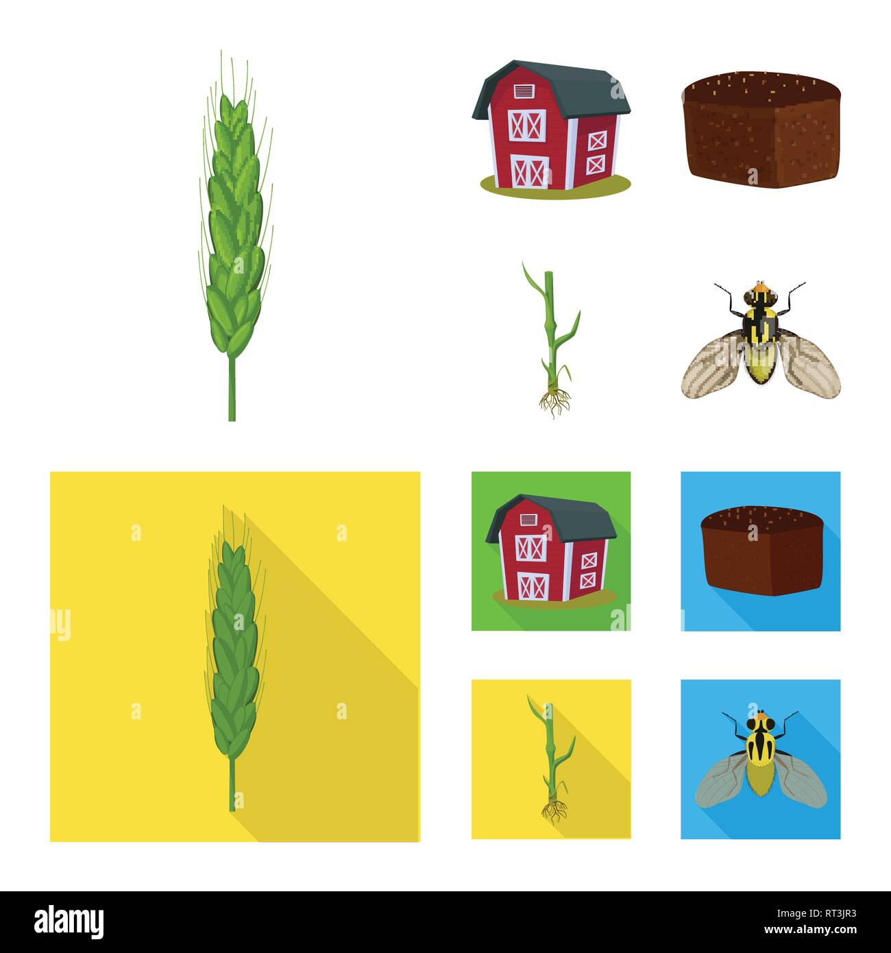spring,granary,bread,stem,fly,spike,building,root,insect,durum,industry ...