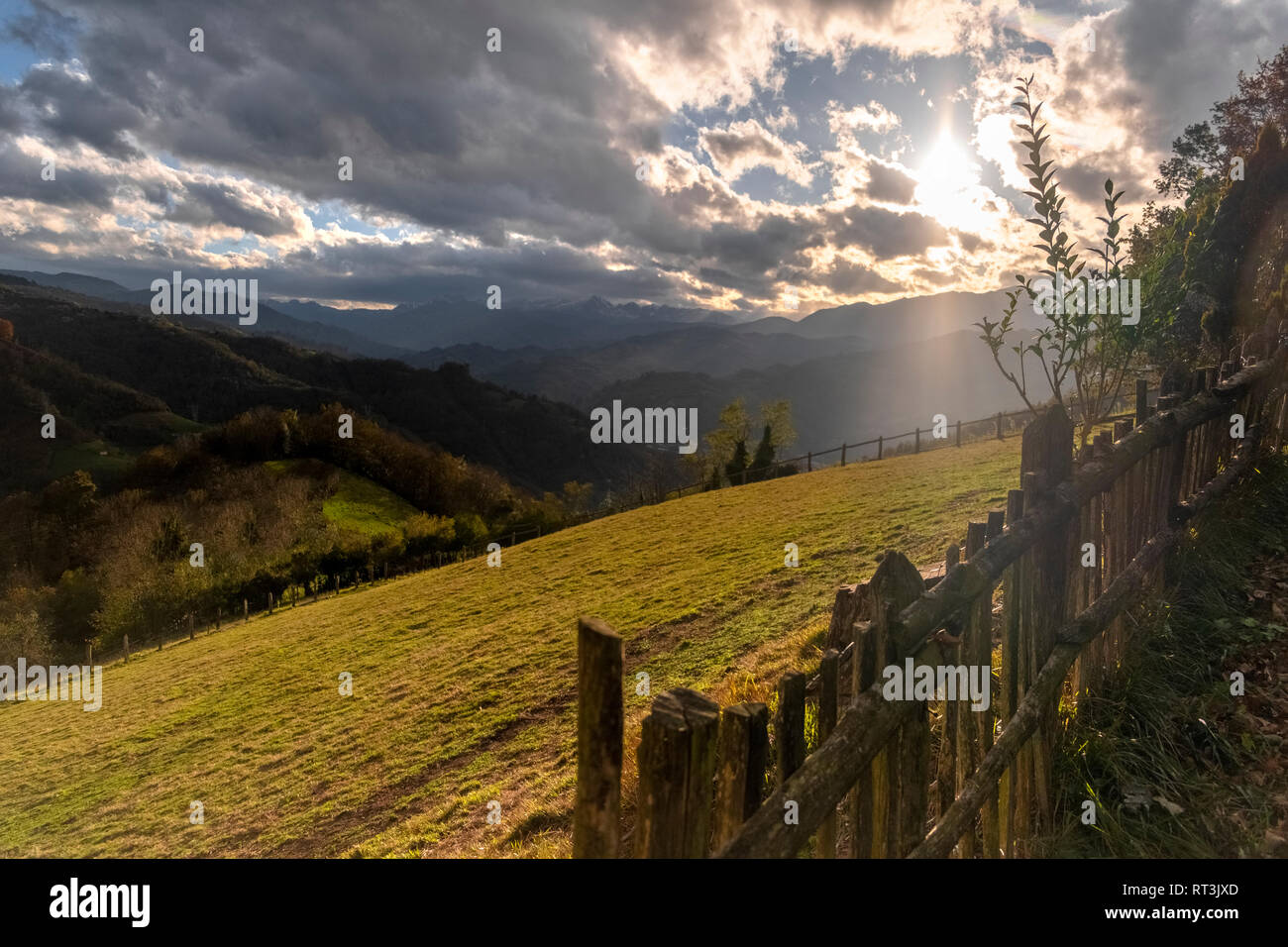 Fences And Trees High Resolution Stock Photography and Images - Alamy