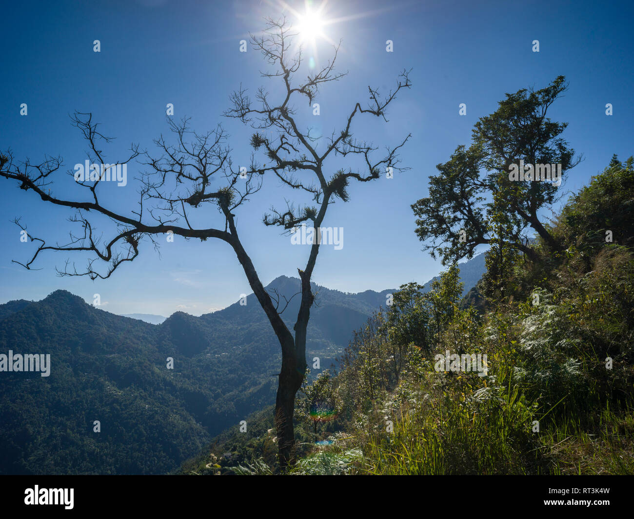 Kaluk hi-res stock photography and images - Alamy