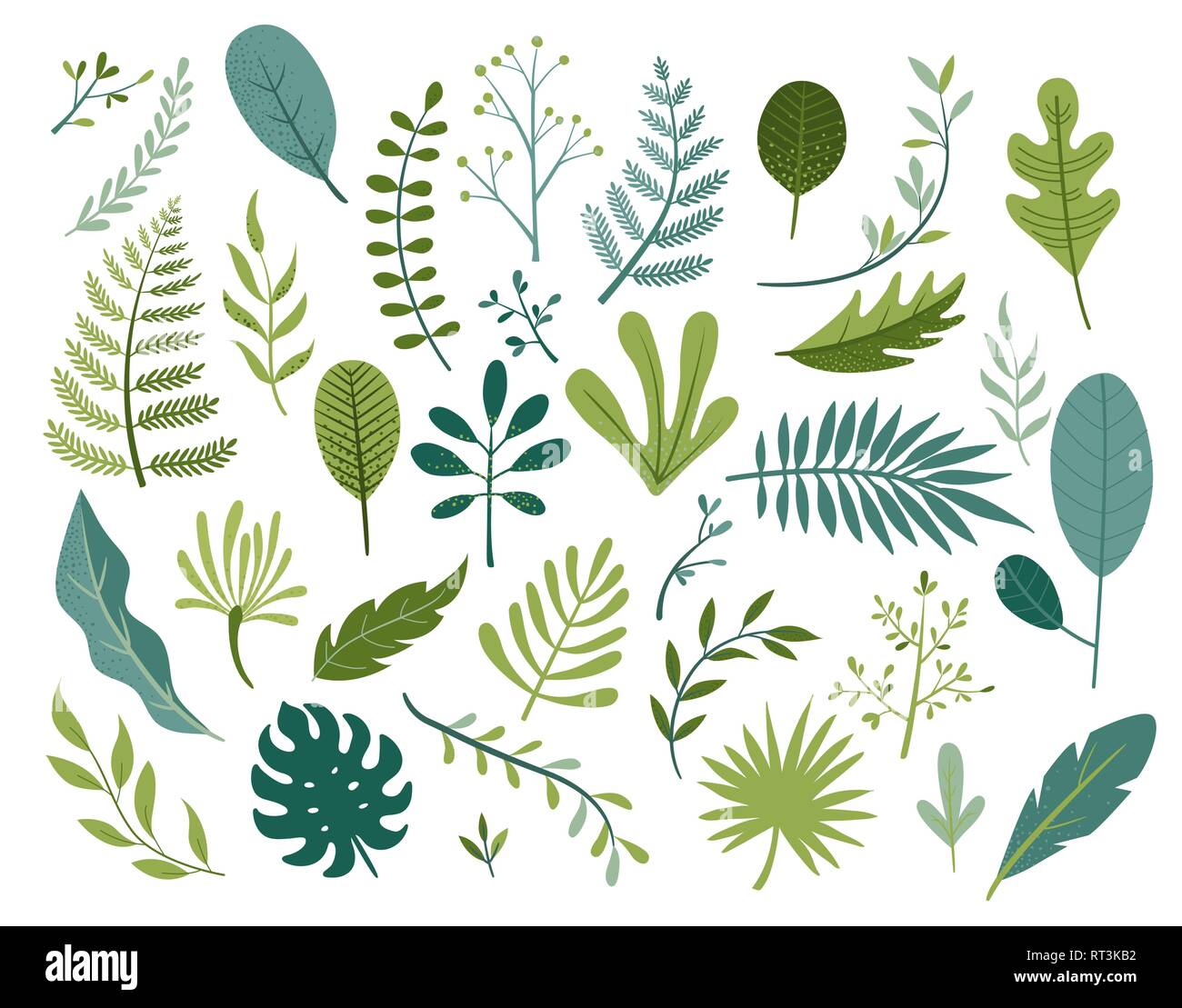 Hibiscus leaf flat Stock Vector Images - Alamy