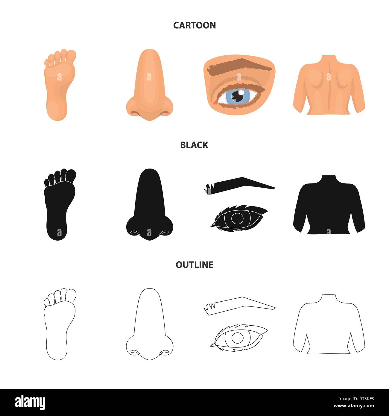 Vector design of body and part icon. Collection of body and anatomy ...