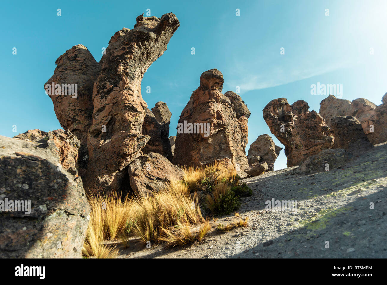 Bosque de Piedras - stone forest place in Peru by sunny evening Stock ...