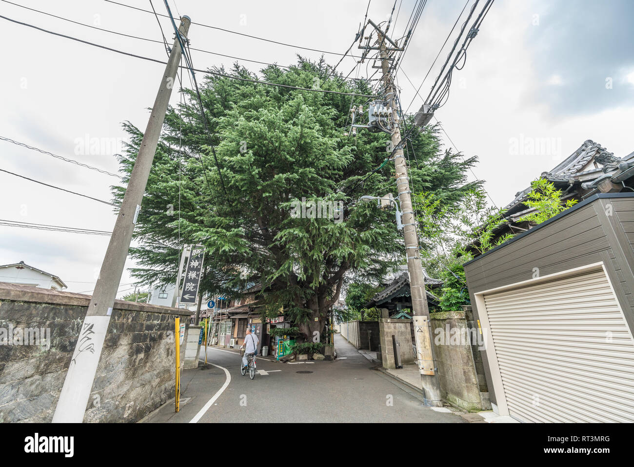 Sanbochidana, Taito Ward, Tokyo, Japan - August 18, 2017: Mikado Pan ...