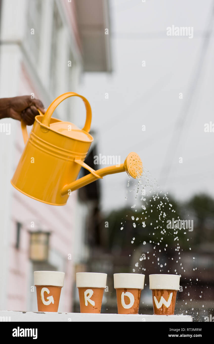 Hand watering pot plants with a brightly colored watering can Stock ...