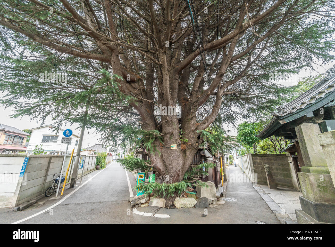 Sanbochidana, Taito Ward, Tokyo, Japan - August 18, 2017: Mikado Pan ...