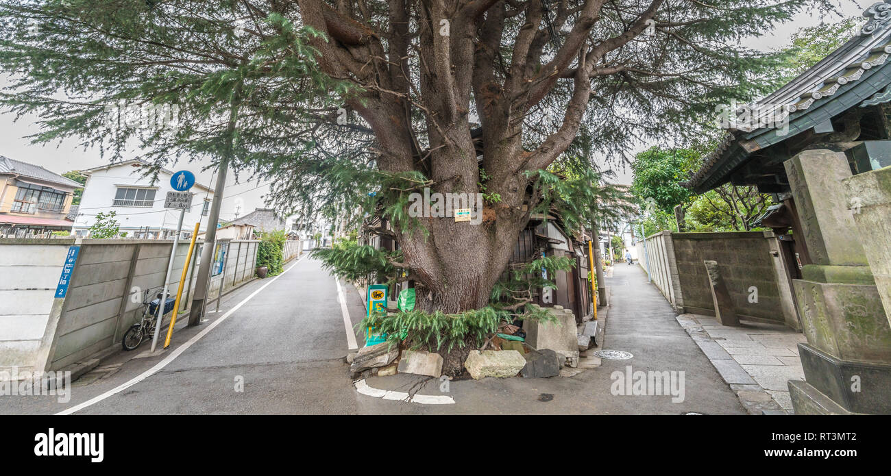Sanbochidana, Taito Ward, Tokyo, Japan - August 18, 2017: Mikado Pan ...