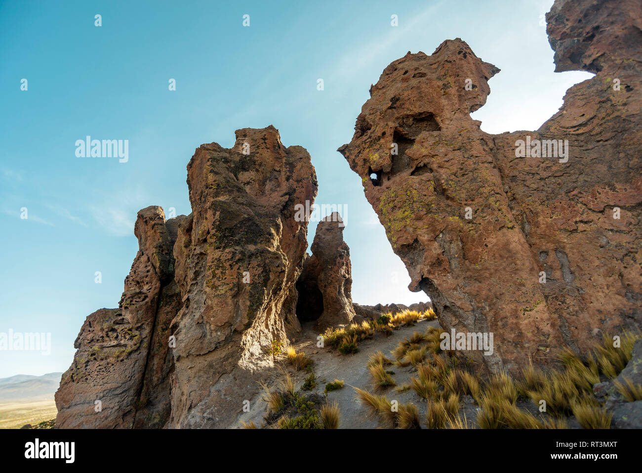Bosque de Piedras - stone forest place in Peru by sunny evening Stock ...