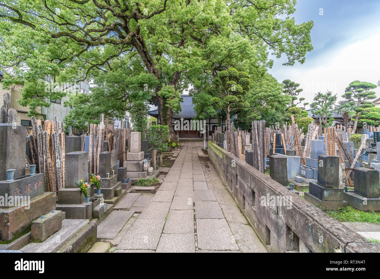 Taito Ward, Tokyo, Japan - August 18, 2017: Daioji temple and cemetery ...