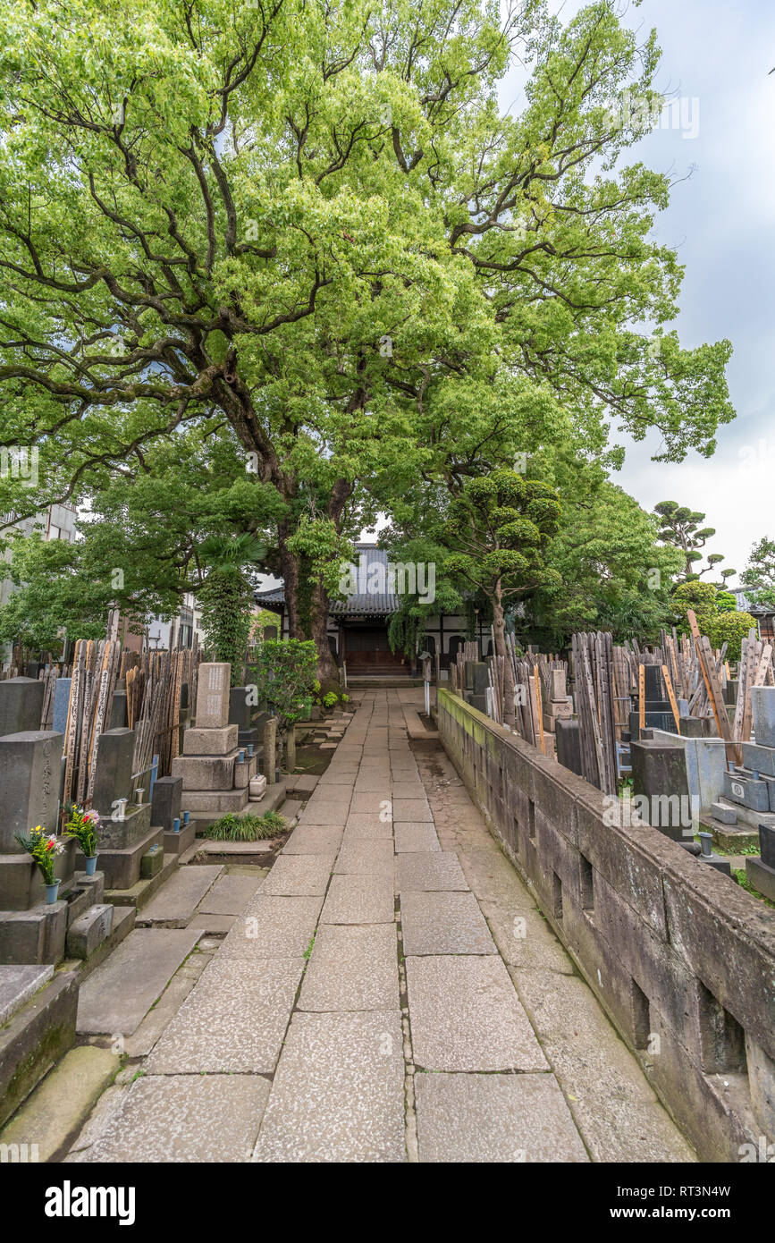 Taito Ward, Tokyo, Japan - August 18, 2017: Daioji temple and cemetery ...