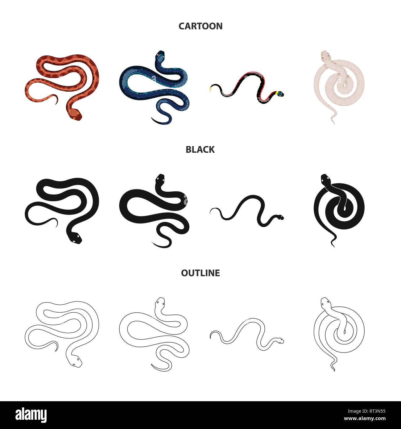 viper,amphibian,animal,snake,anaconda,cobra,white,forest,pink,tail ...