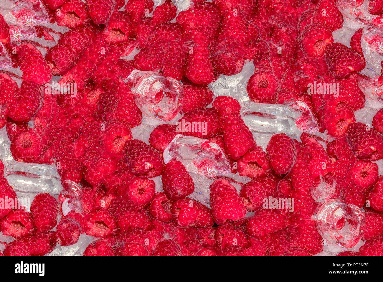 Color macro food photography of a collection of red fresh raspberries ...