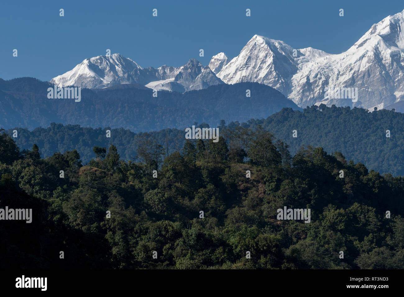 Scenic view of Singalila Range, Great Himalaya Range, Sikkim, India ...