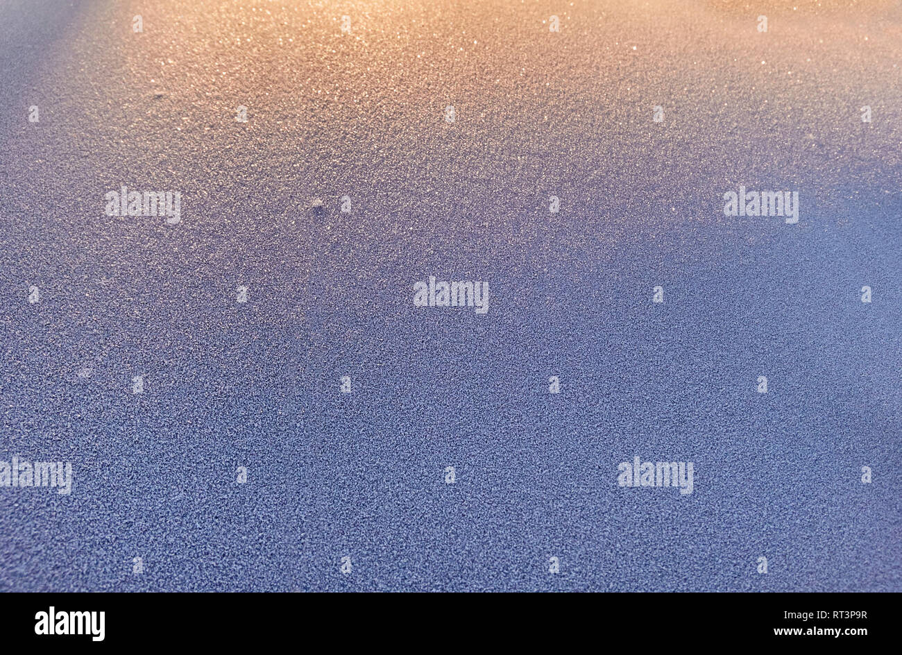 Ice floor hi-res stock photography and images - Alamy
