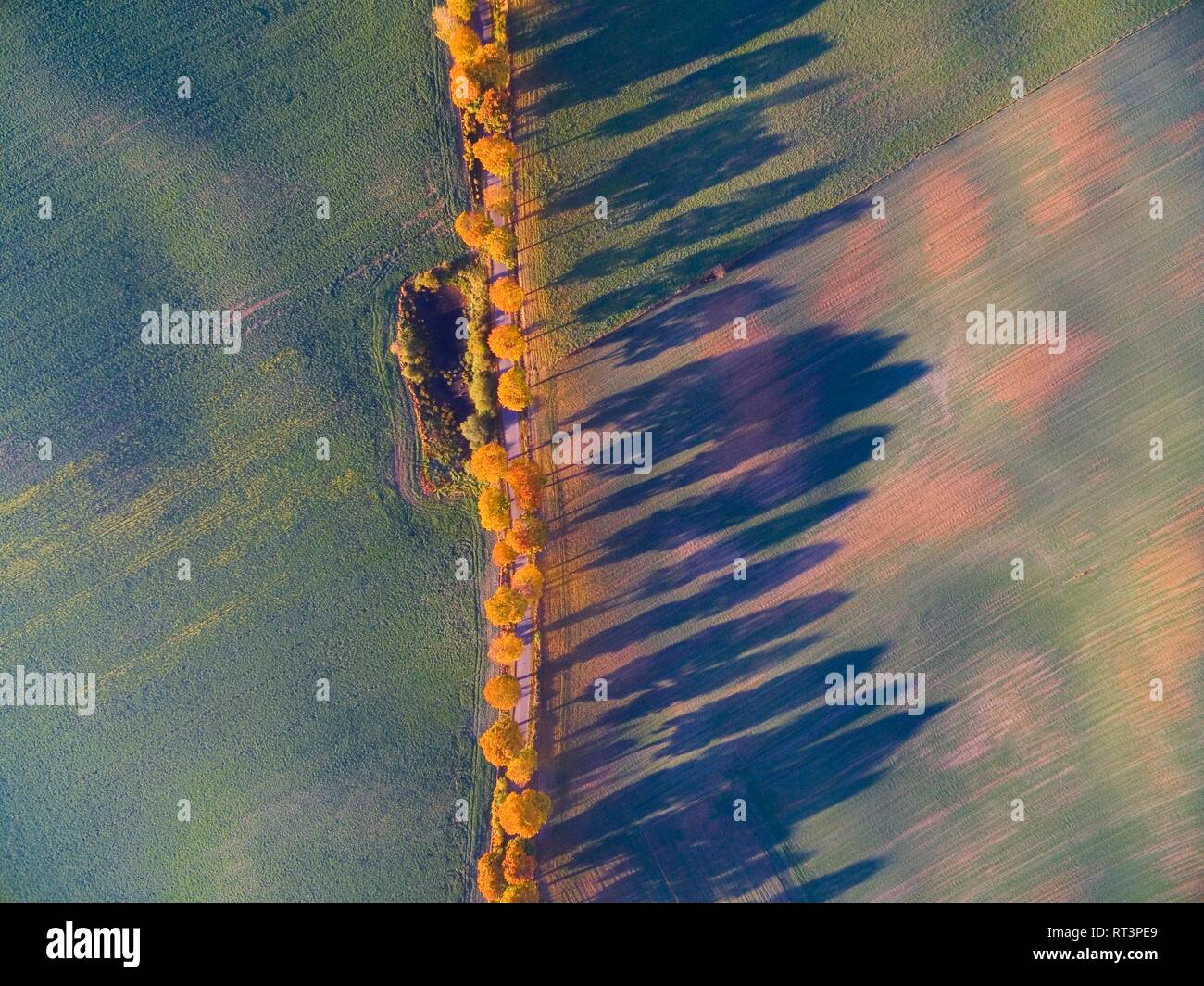 Aerial view of country road with colorful maple trees through the hilly ...