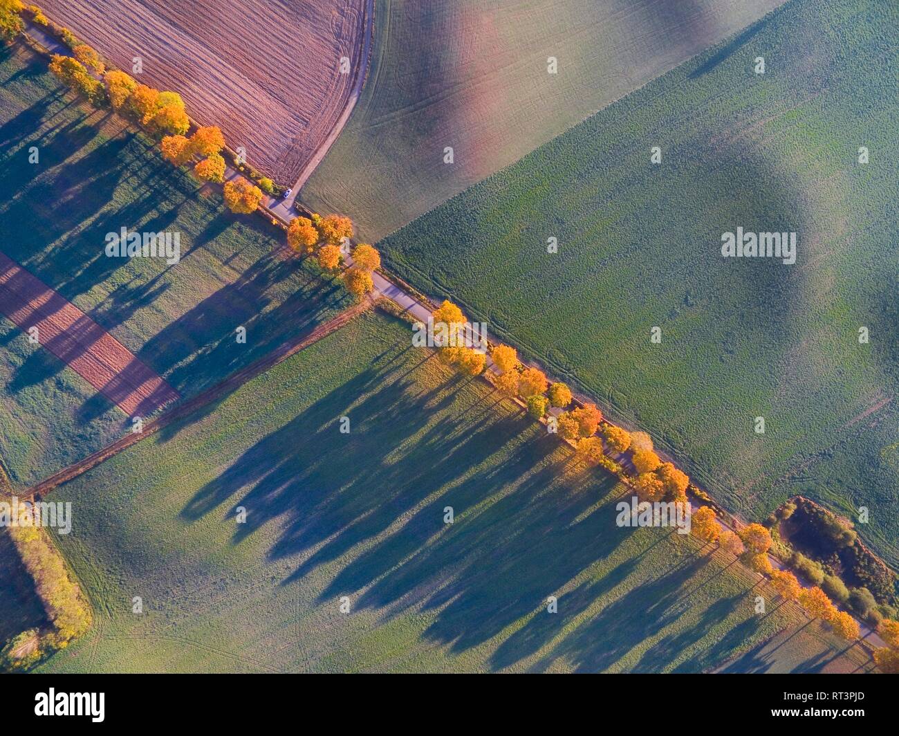 Aerial view of country road with colorful maple trees through the hilly ...