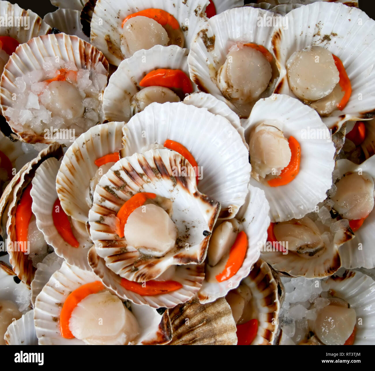 A bunch of delicious sea shells prepare for eat Stock Photo - Alamy