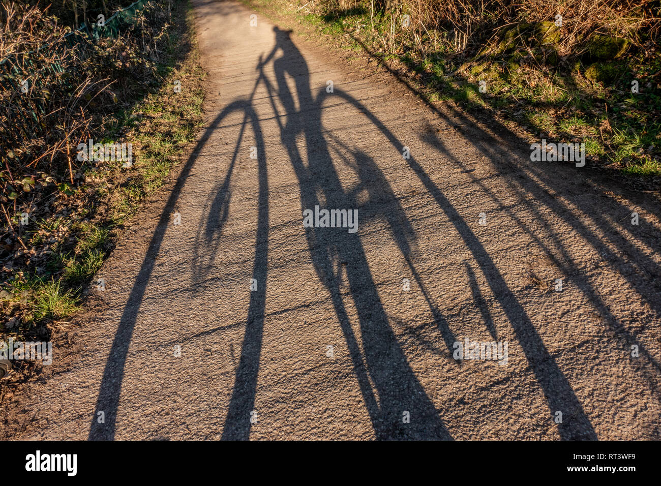 Tall cycle hi-res stock photography and images - Alamy