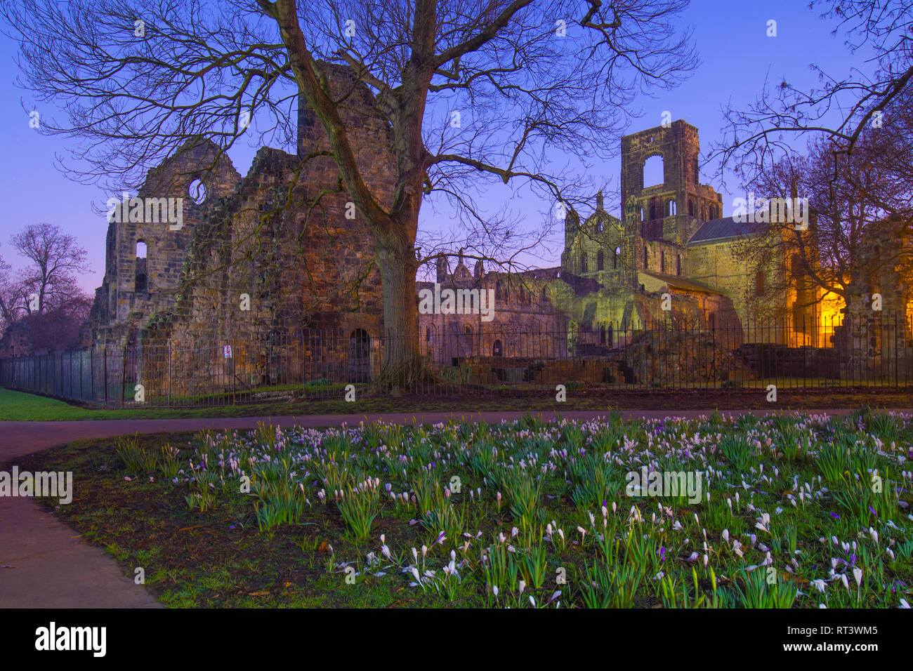 Kirkstall Abbey in Leeds Stock Photo - Alamy