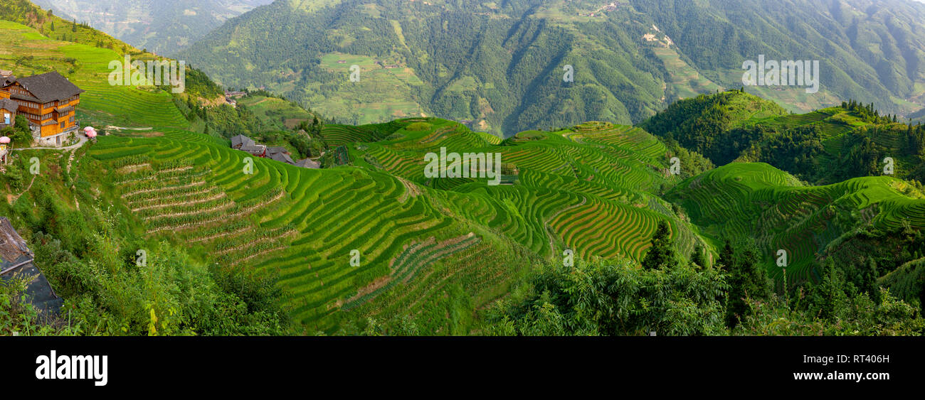 Dragons backbone hi-res stock photography and images - Alamy