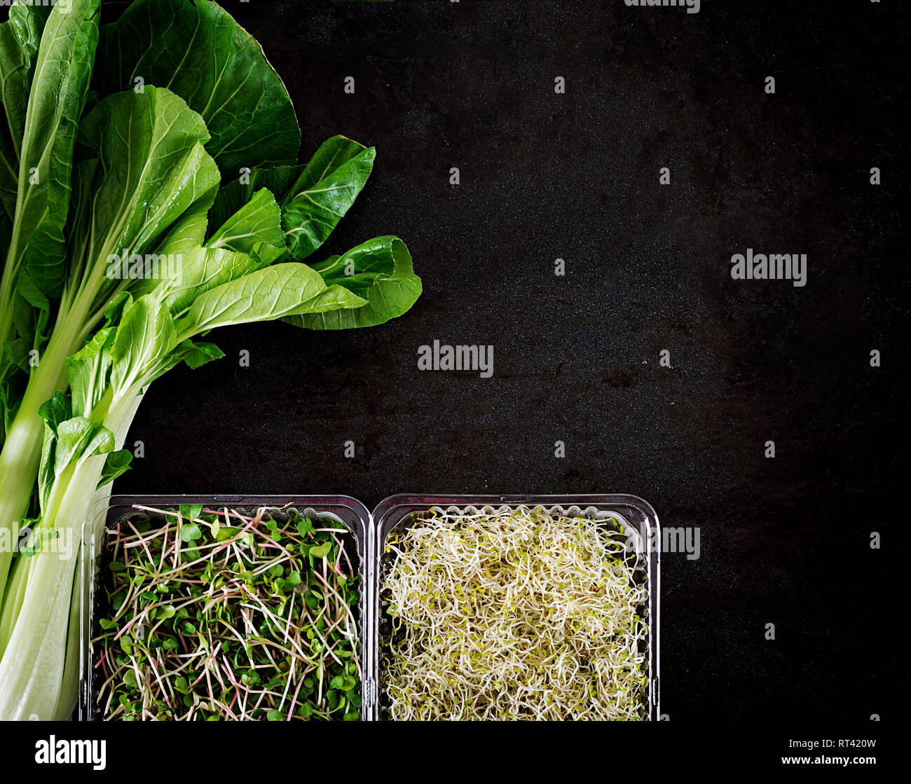 Bok choy or Chinese-cabbage and micro greens on black table. Pak choi ...