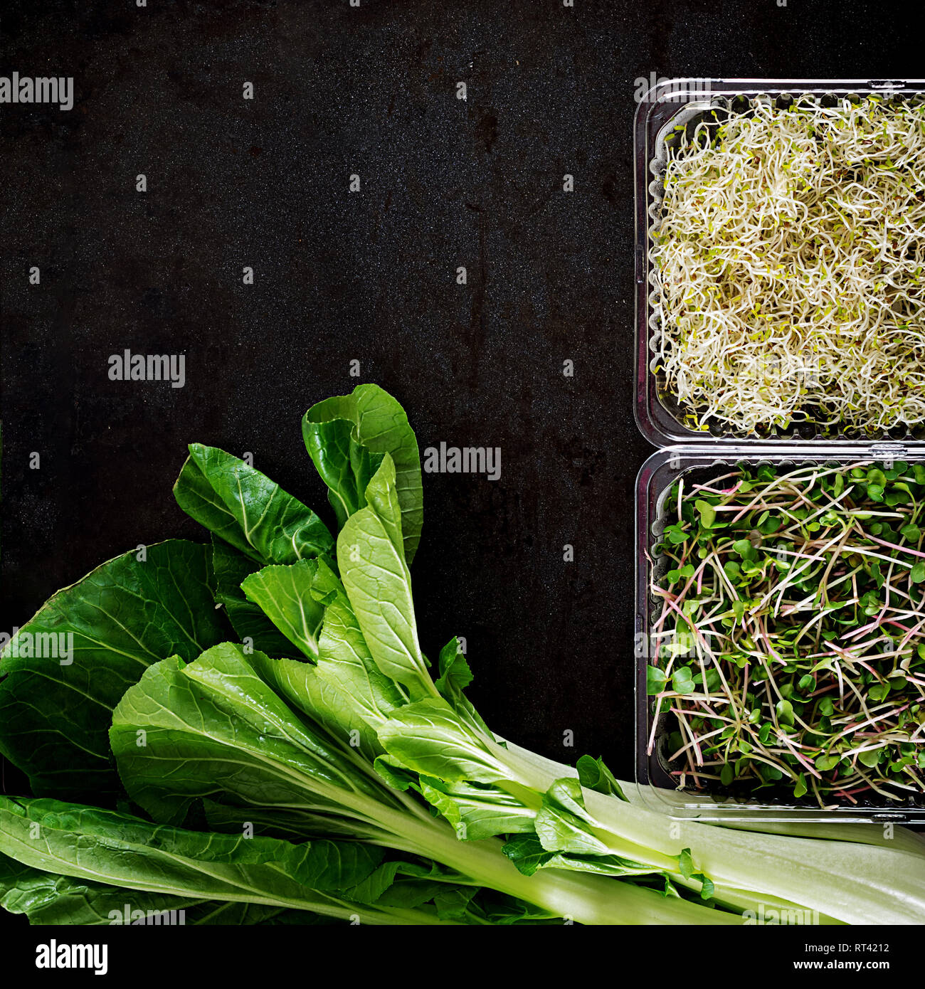 Bok choy or Chinese-cabbage and micro greens on black table. Pak choi ...