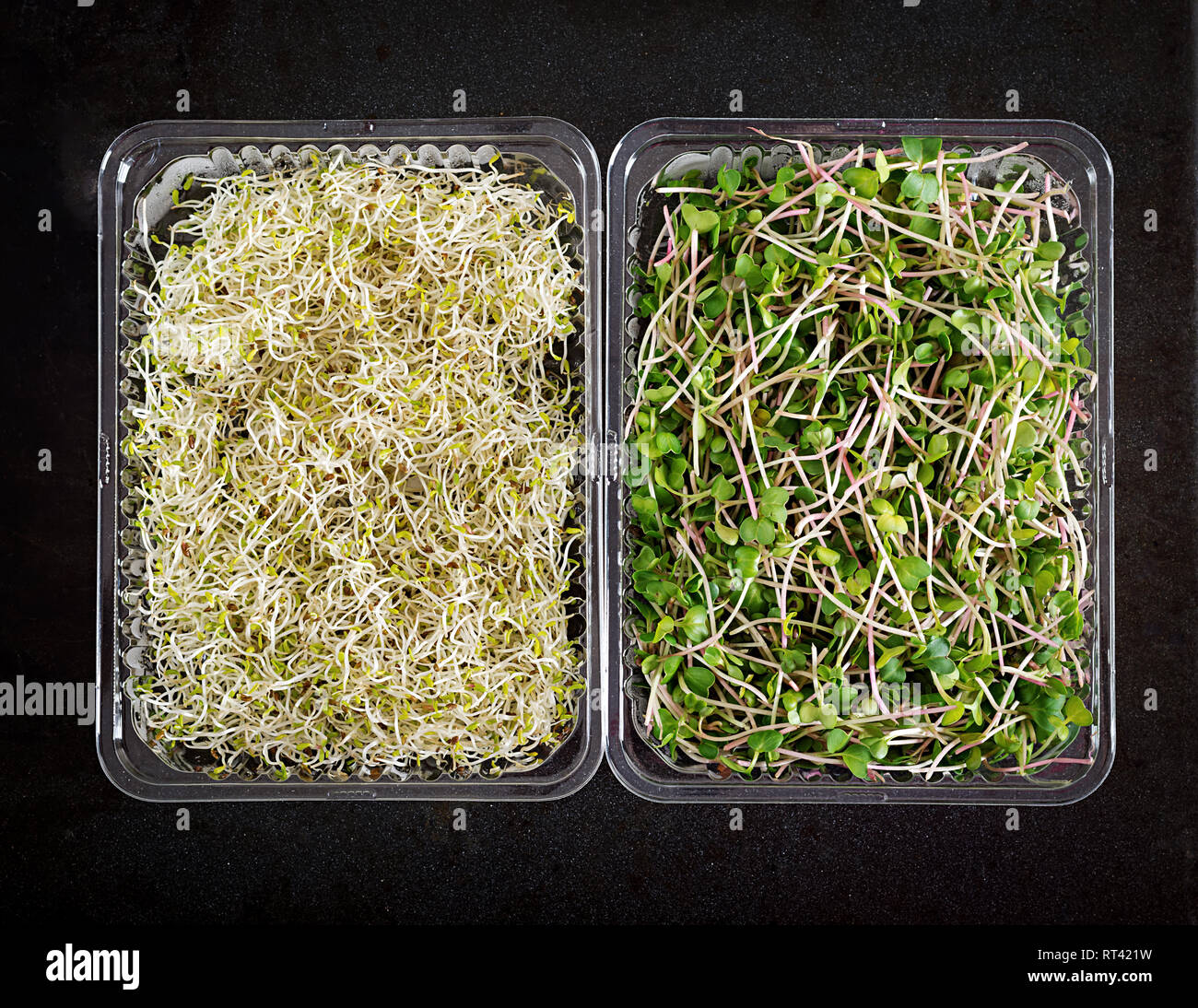 Fresh mix microgreens salad view from above. Background or texture ...