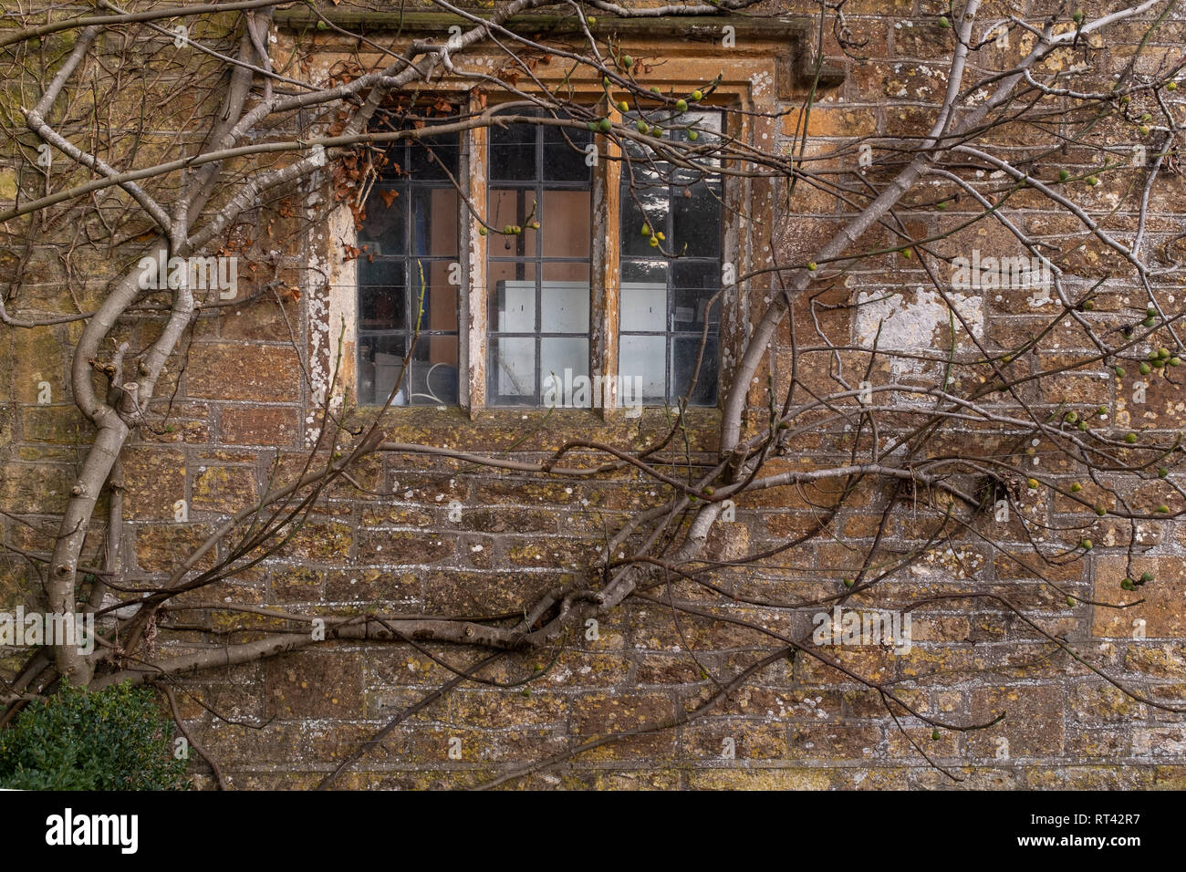 Close up of an English cottage window, using traditional bricks Stock ...