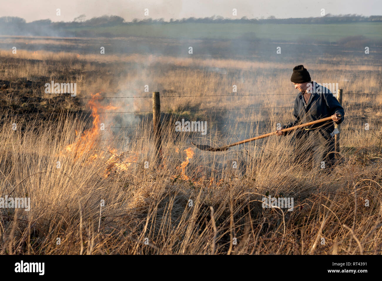 Bursdon Moor, Hartland,North Devon, England, UK. February 2019. Man ...