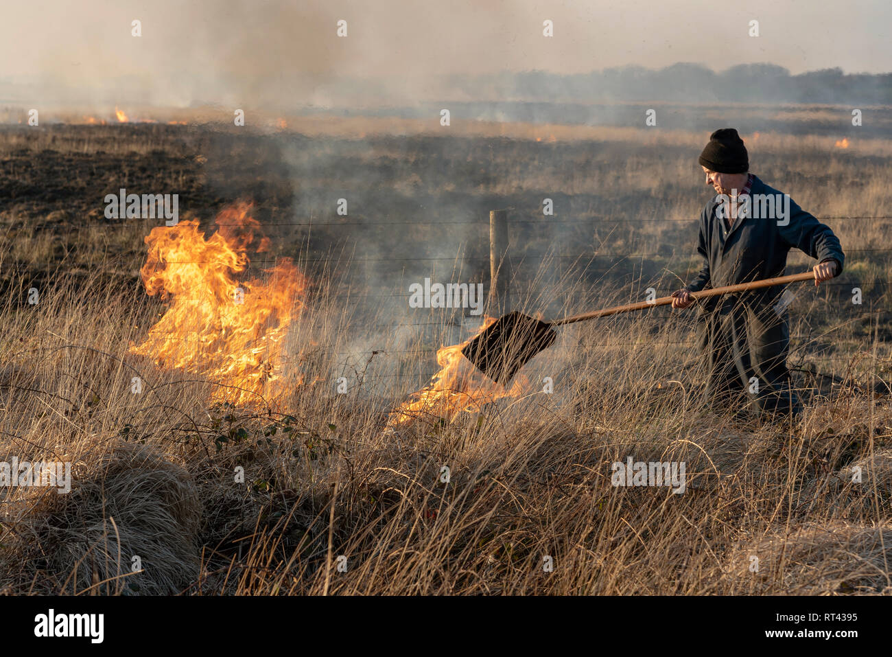 Bursdon Moor, Hartland,North Devon, England, UK. February 2019. Man ...