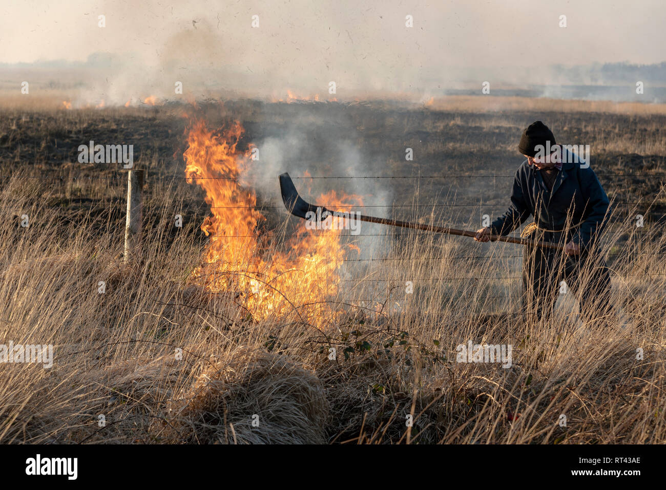Annual scrub hi-res stock photography and images - Alamy