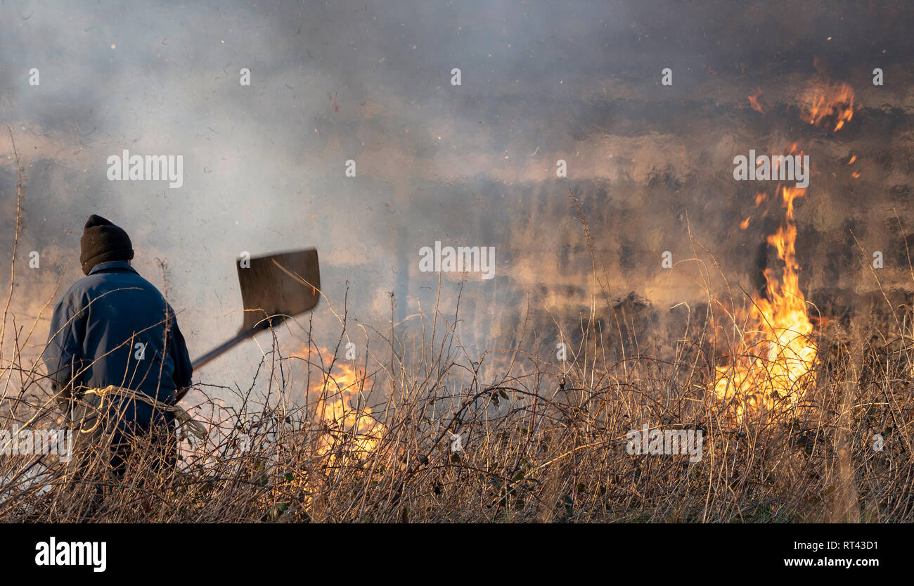 Bursdon Moor, Hartland,North Devon, England, UK. February 2019. Man ...