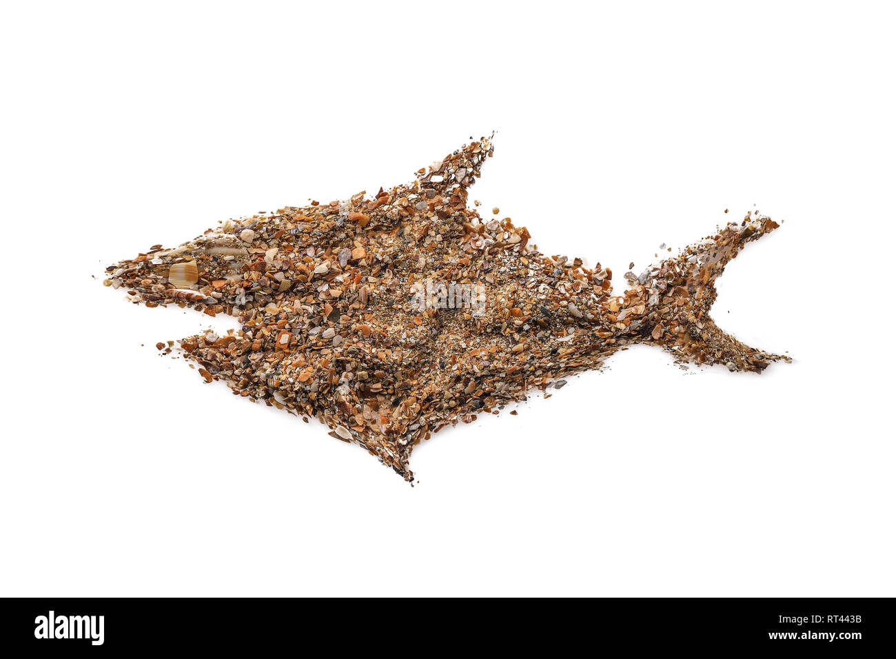 Shark form hi-res stock photography and images - Alamy