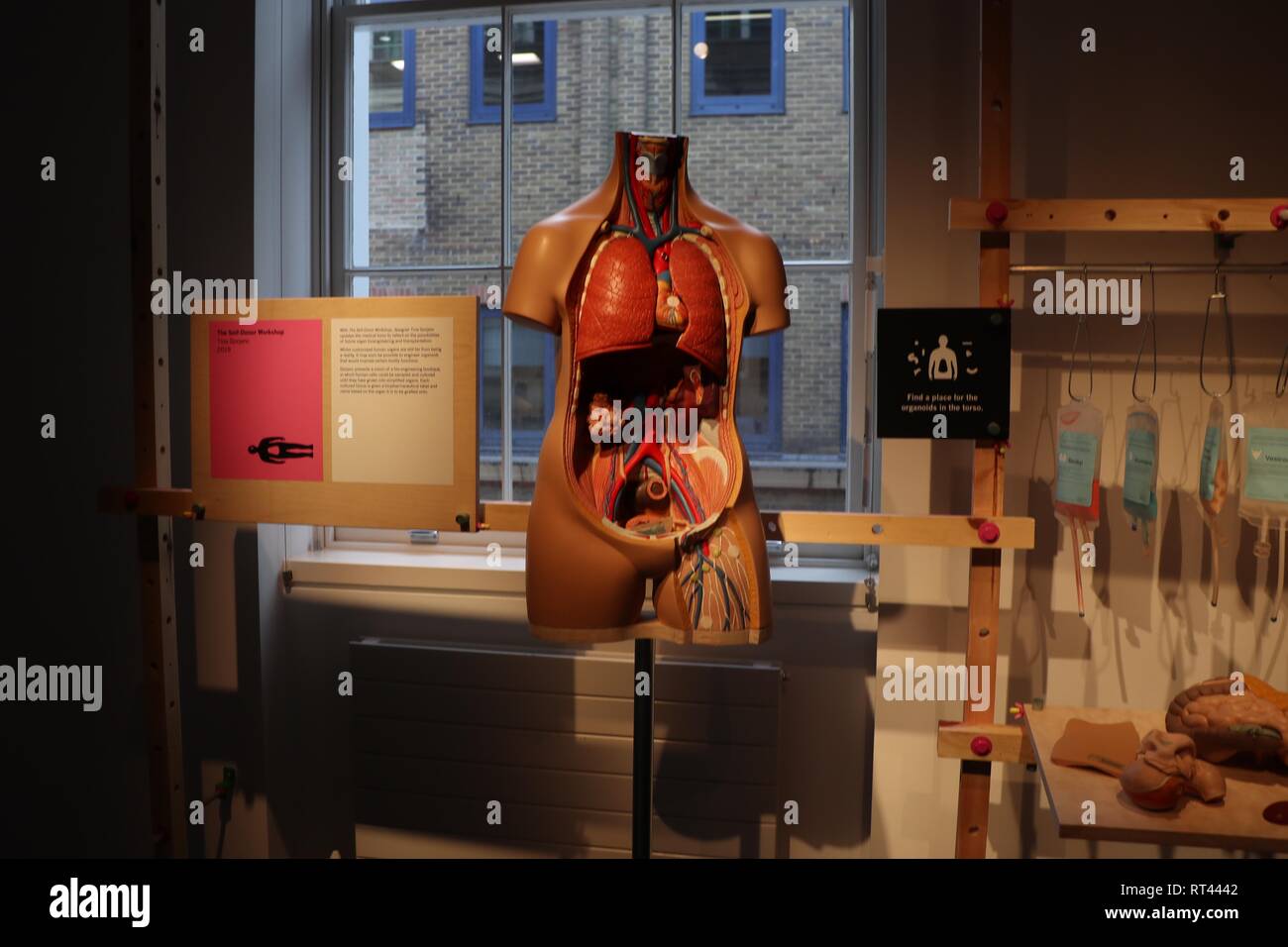 Spare Parts Rethinking Human Repair Science Gallery @ Kings College ...