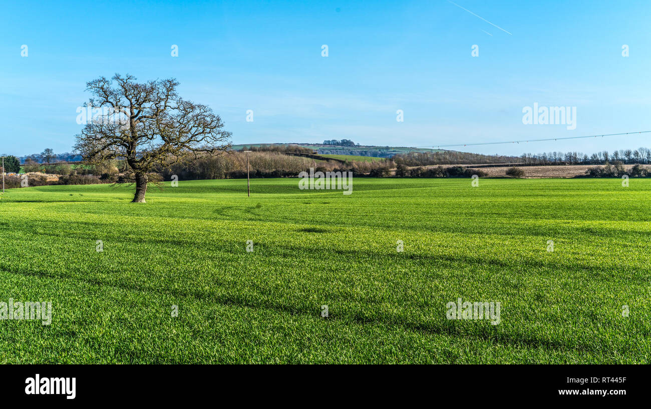 English field hill hi-res stock photography and images - Alamy