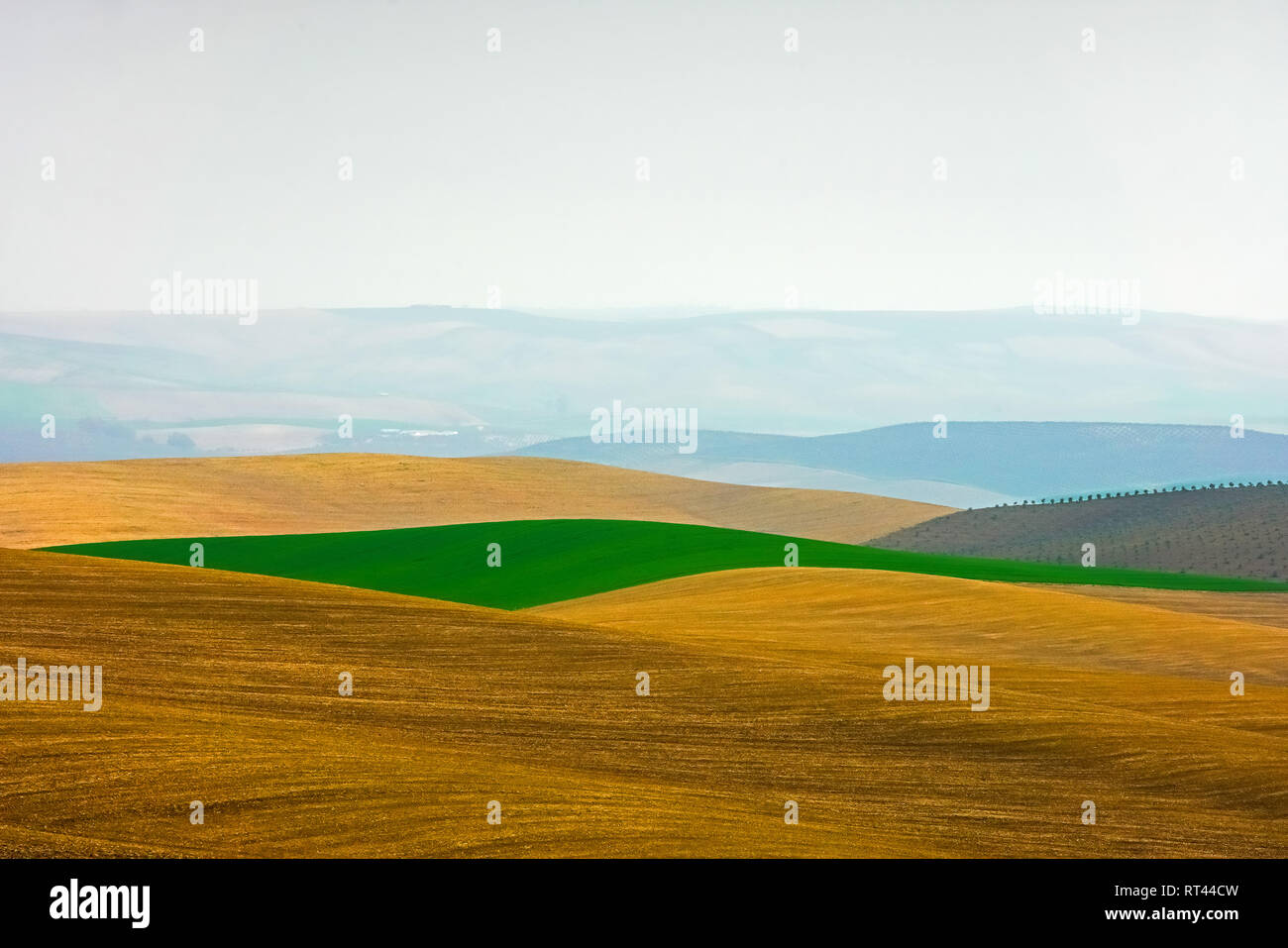 Rural landscape fields rio hi-res stock photography and images - Alamy