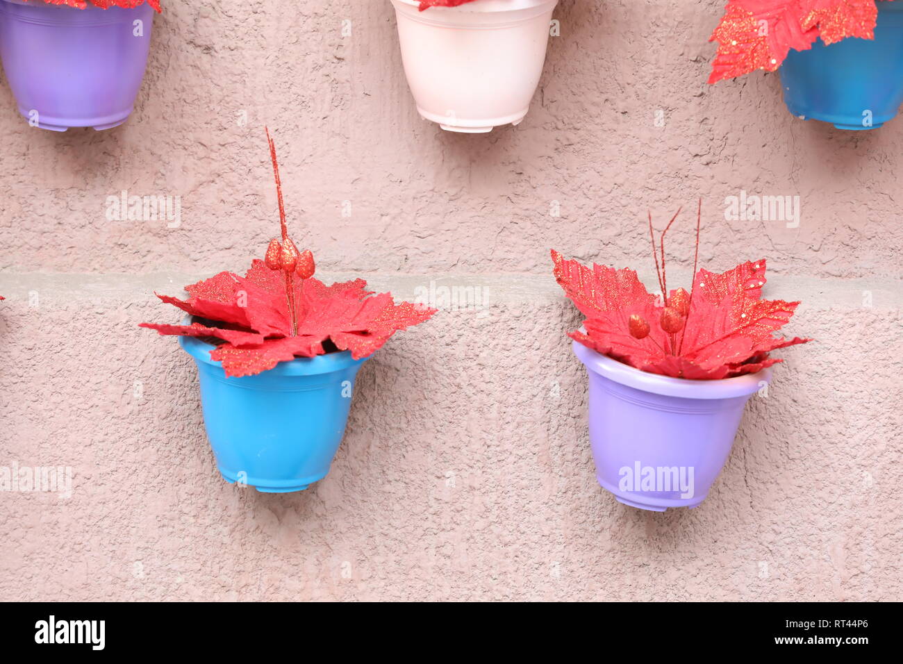 Colorful pots with red leaves Stock Photo - Alamy