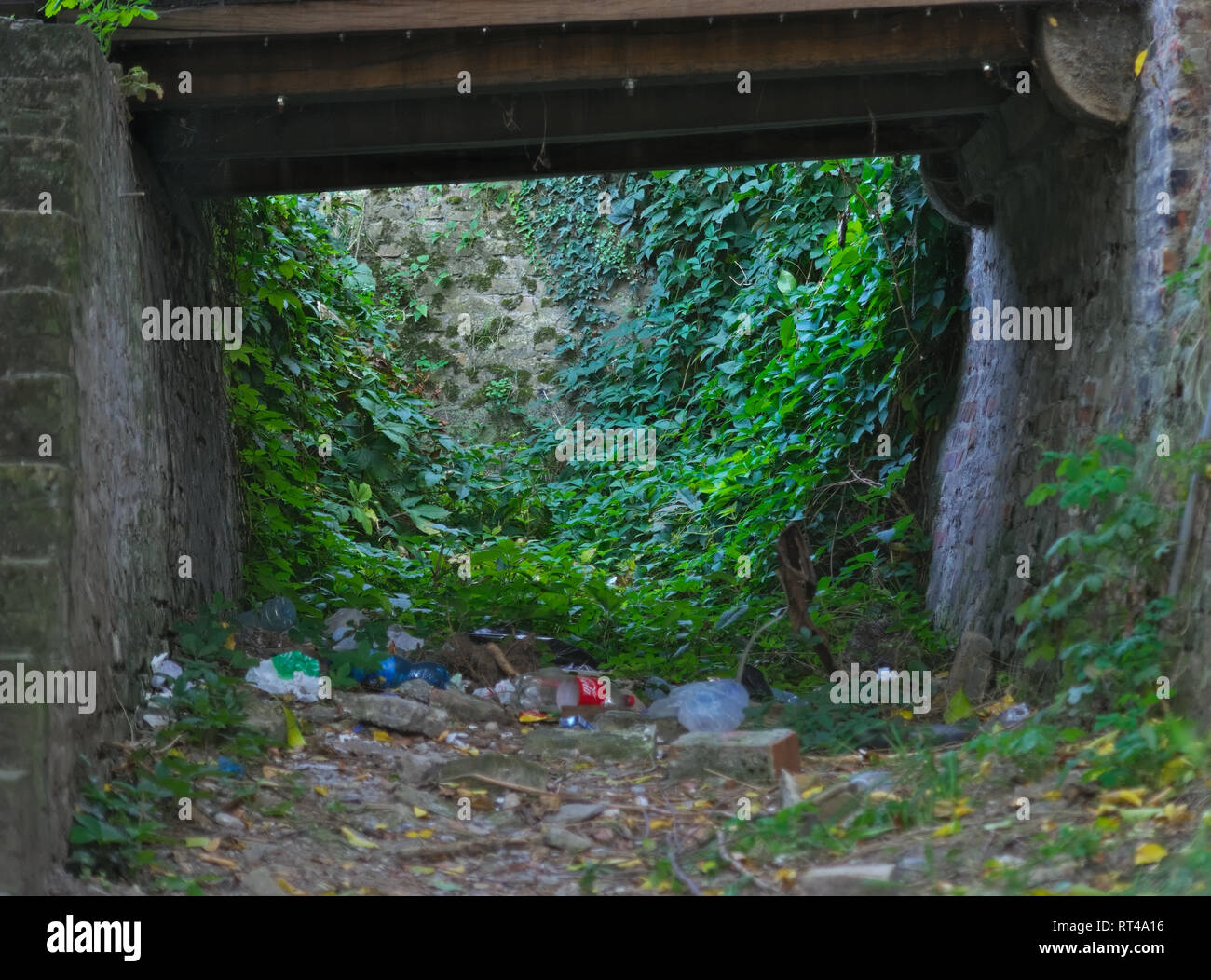 Trash under wooden bridge with greenery behind Stock Photo - Alamy
