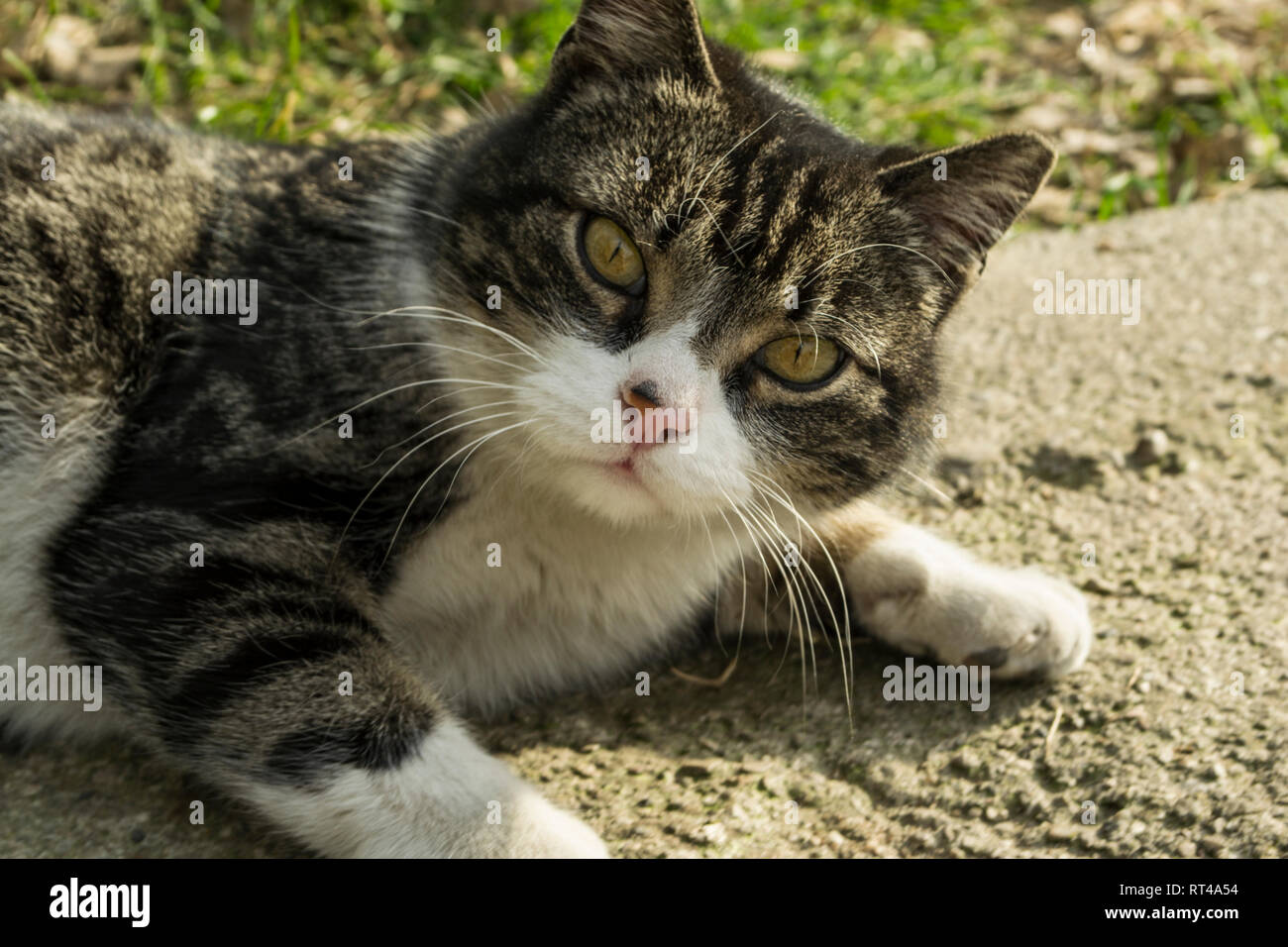 Profound eyes hi-res stock photography and images - Alamy