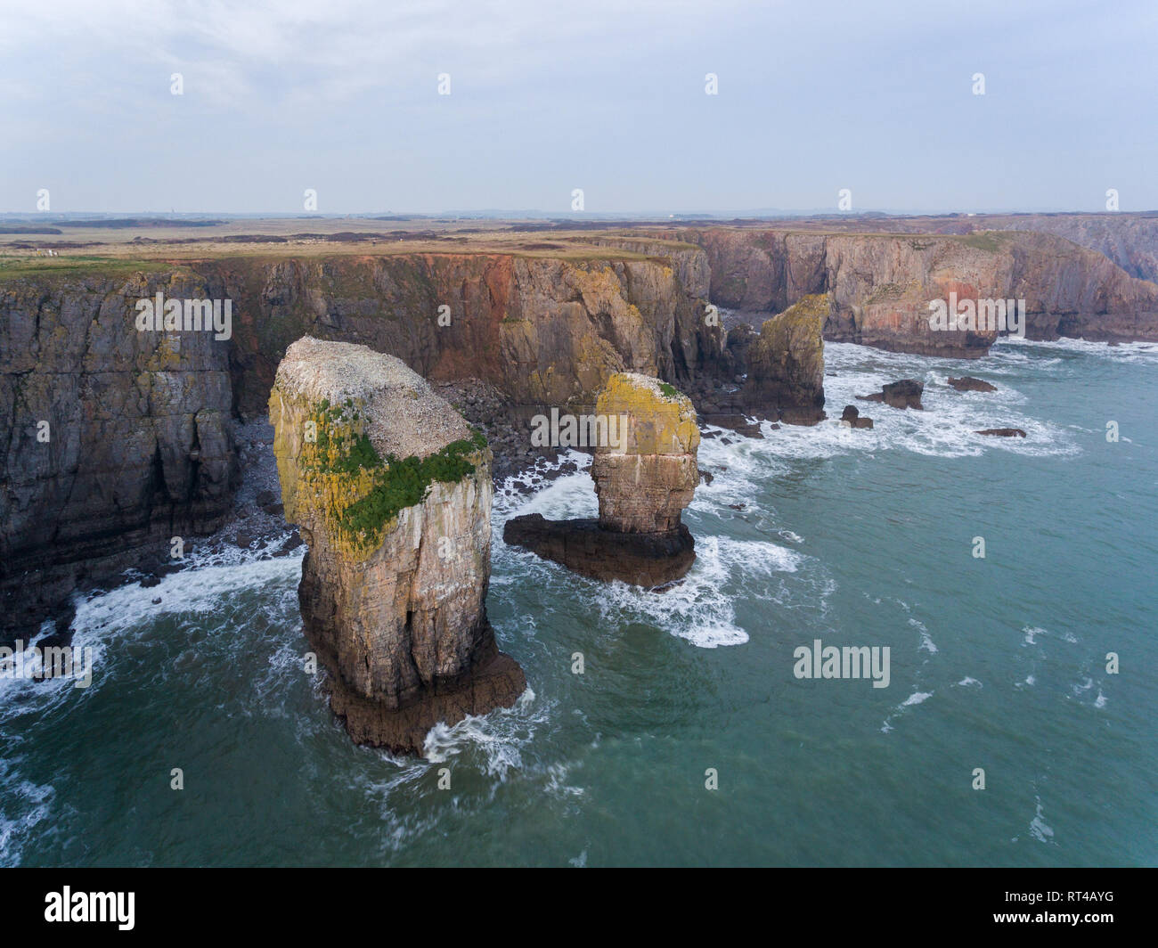 Aerial view of the Stack Rocks St Govans Headland Pembrokeshire Wales ...