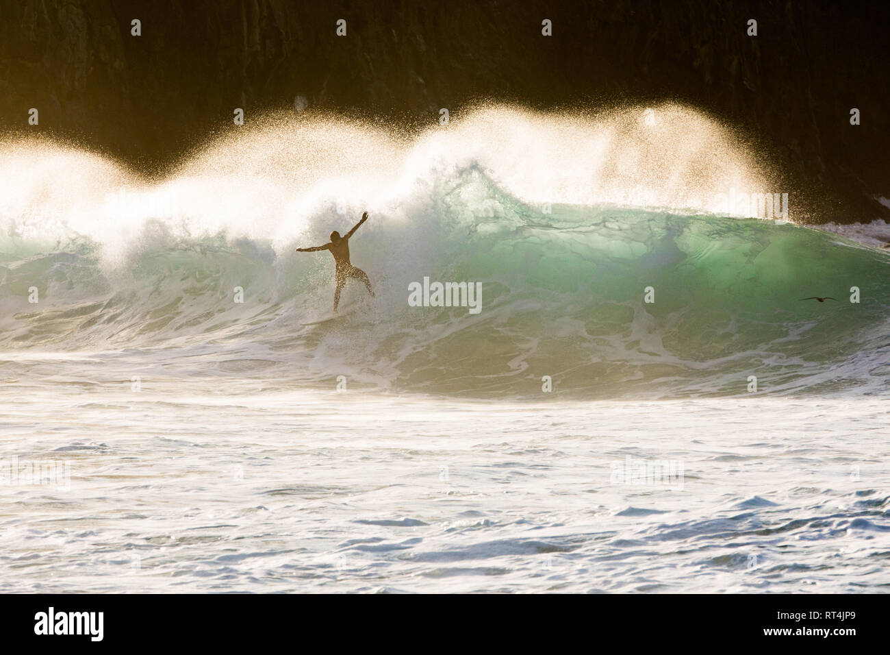 Professional surfers surfing the worldclass waves of Fernando de ...