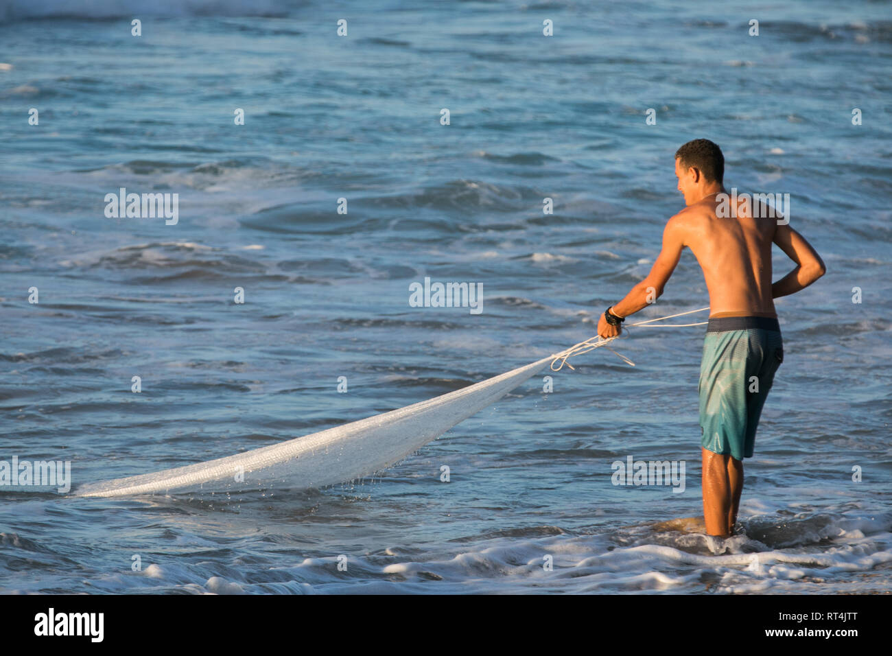 Fernando de noronha fish hi-res stock photography and images - Alamy