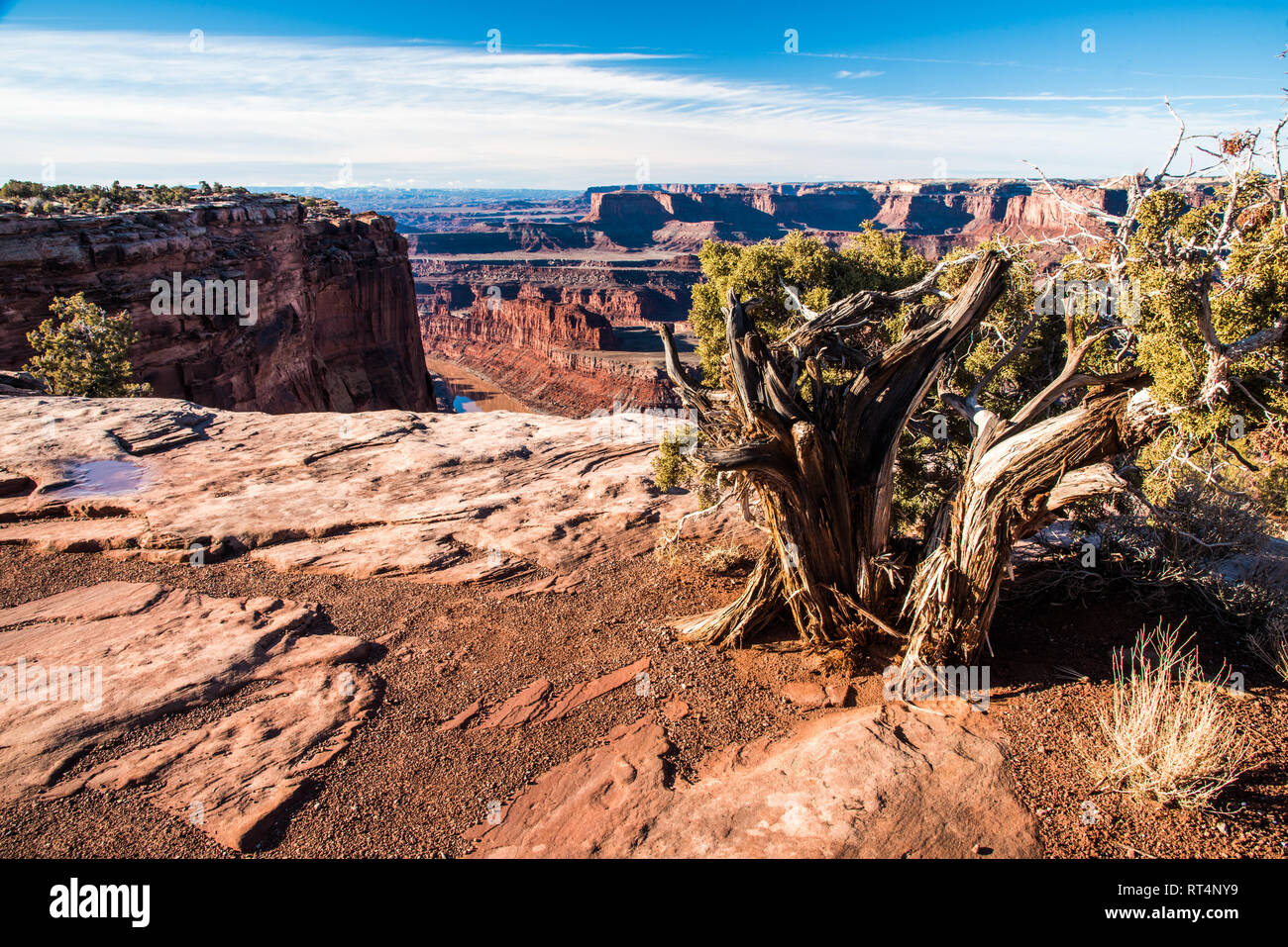 Canyonlands National Park, showing arches, Dead Horse Point, huge mesas ...