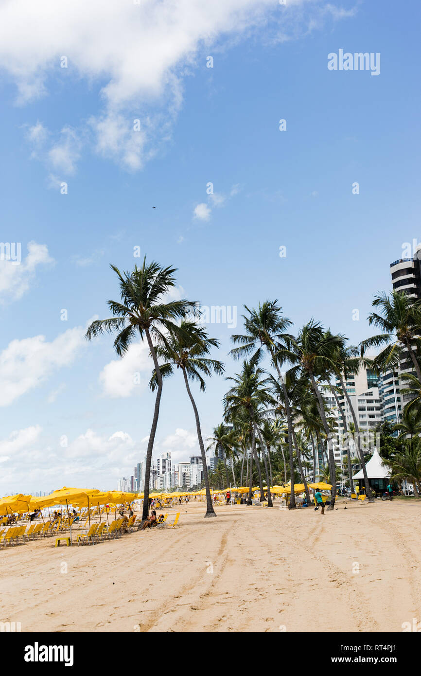 The beach of Recife, a beautiful Beach Town in the North of Brazil ...