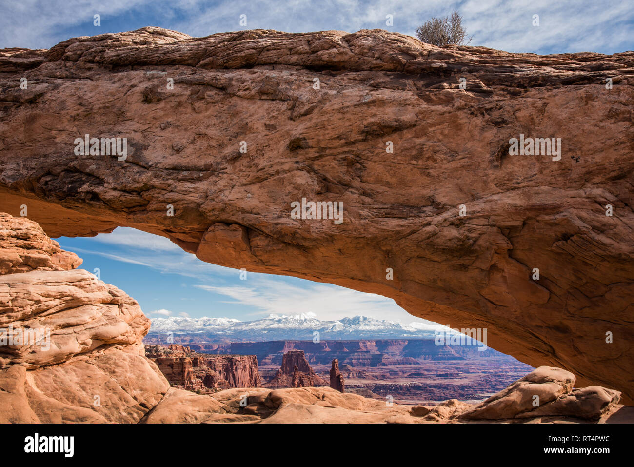 Canyonlands National Park, showing arches, Dead Horse Point, huge mesas ...