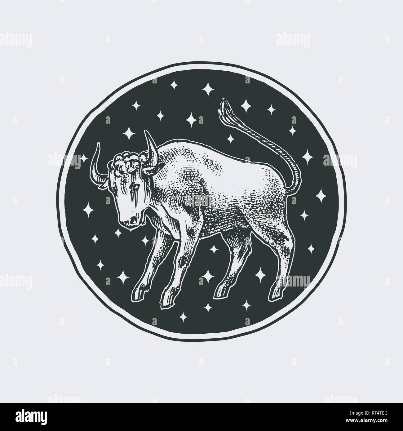 Zodiac aries taurus gemini hi-res stock photography and images - Alamy