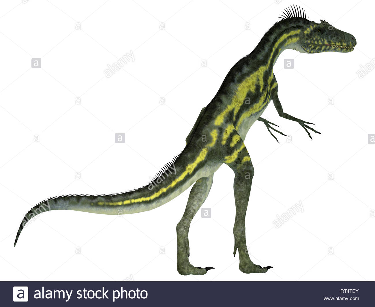 Deltadromeus Stock Photos & Deltadromeus Stock Images - Alamy